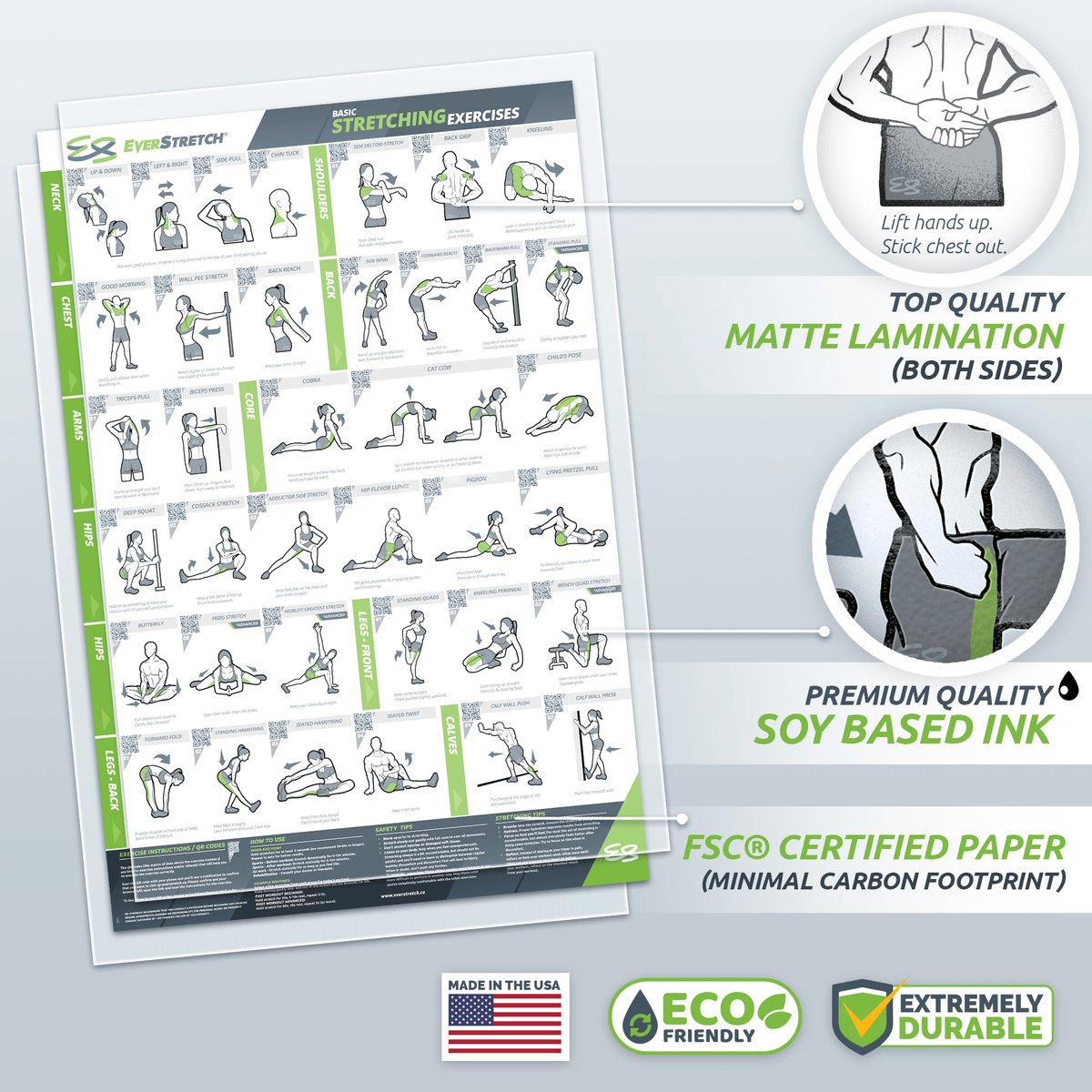 Stretching Poster by EverStretch - 23" x 35" Laminated Exercise ...