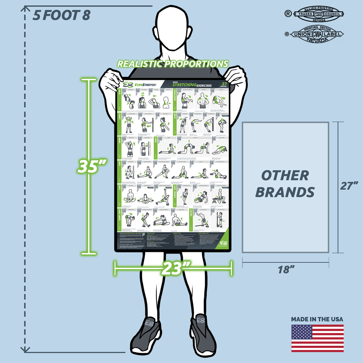 Stretching Poster by EverStretch - 23" x 35" Laminated Exercise ...